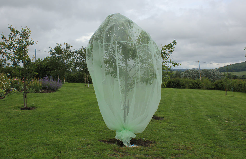Protect your fruit with Haxnicks Fruit Tree Nets