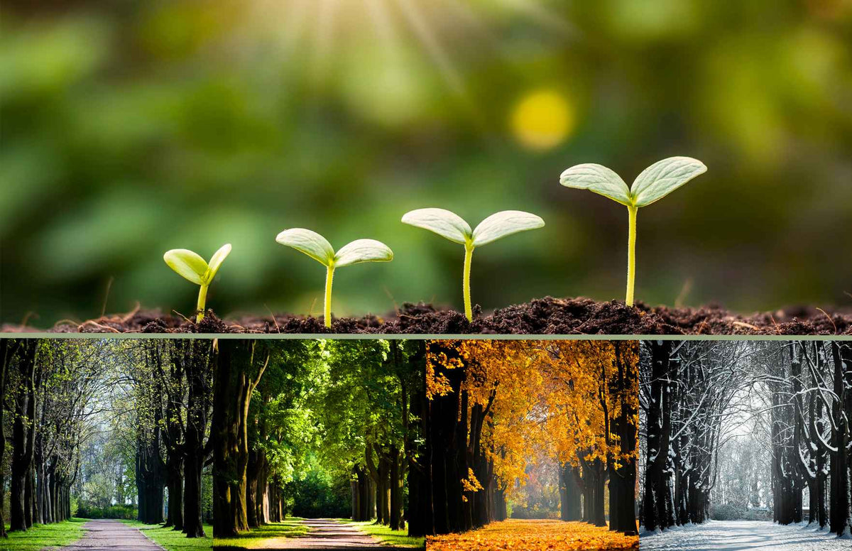 5 Ways to Extend your Growing Season grow more in the garden – Haxnicks