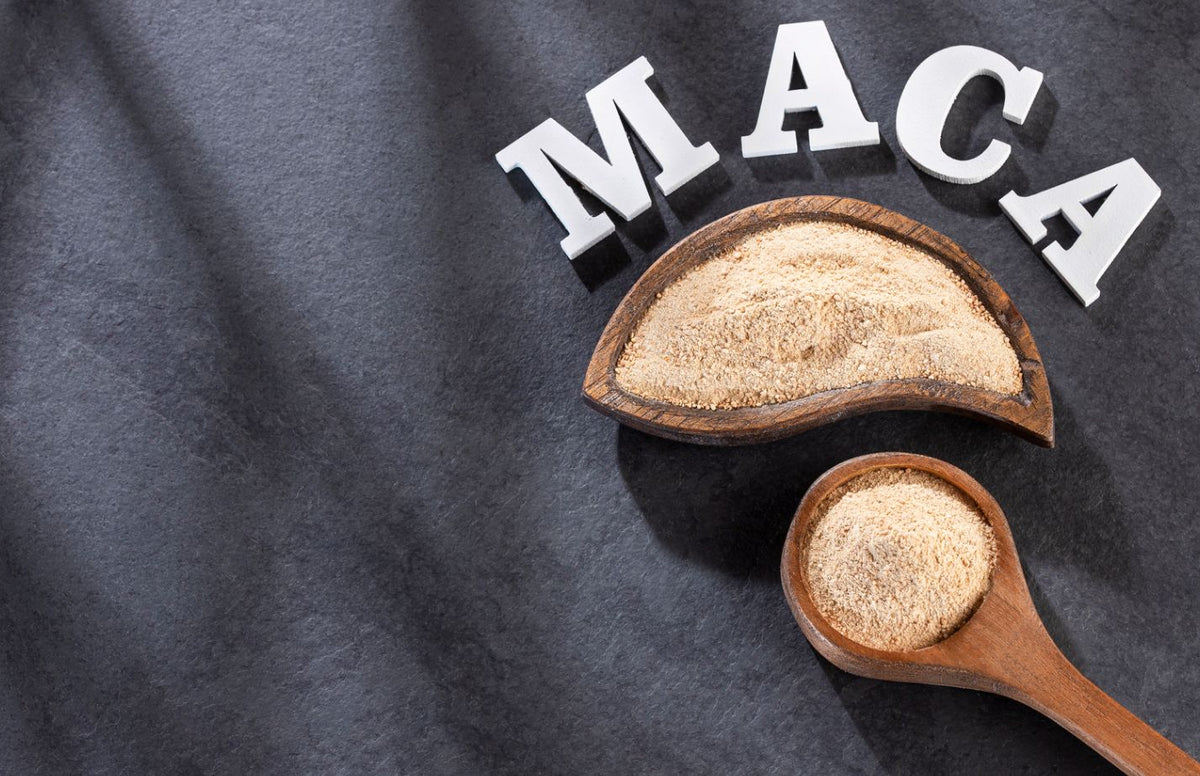 How to make your own Maca Root Powder at home UK – Haxnicks