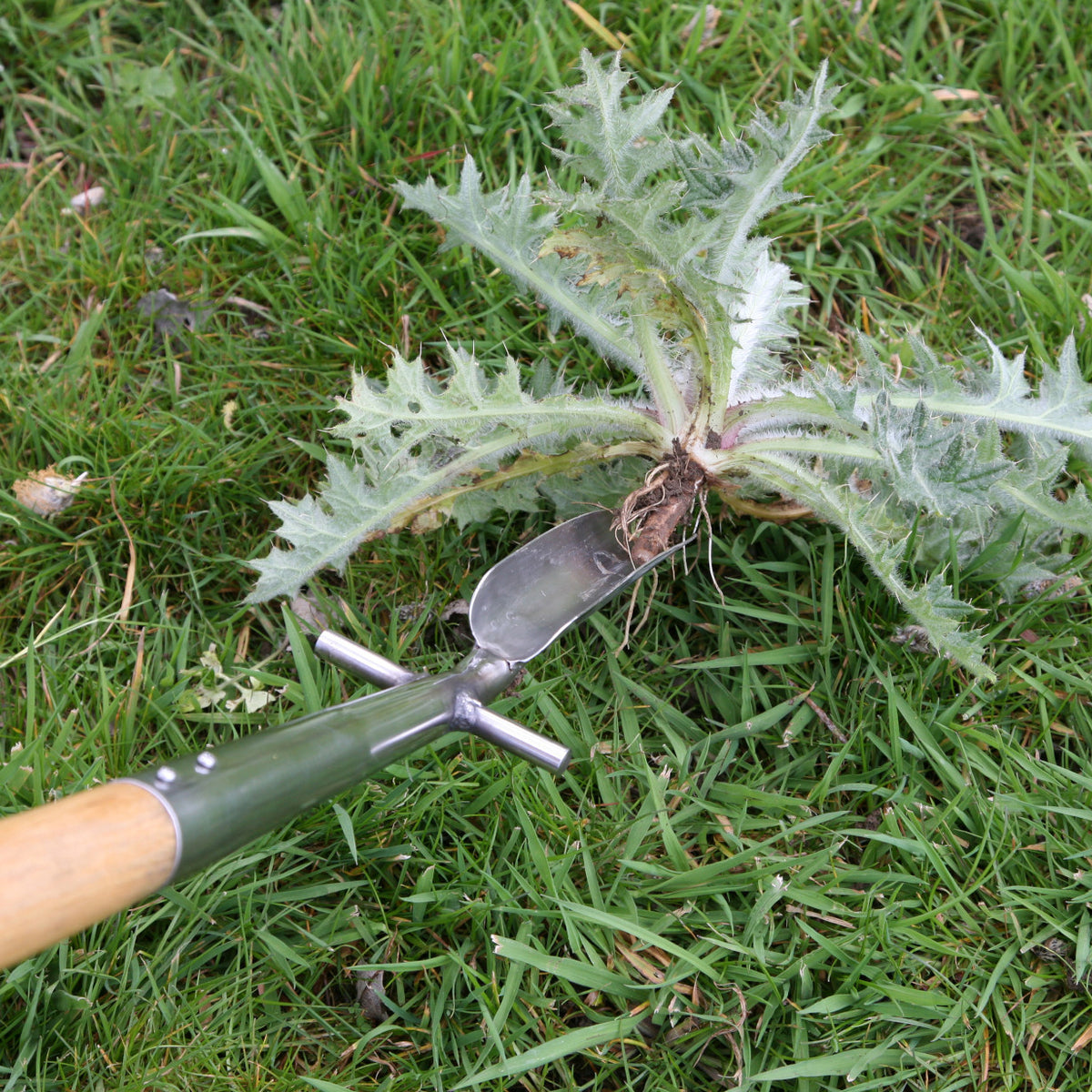 Product Bite: SpeedWeed for easier weeding – Haxnicks