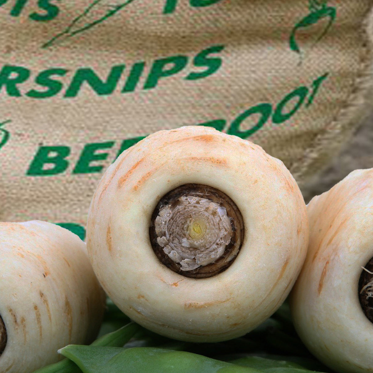 Product Bites: Vegetable Sacks ideal to store root veg – Haxnicks