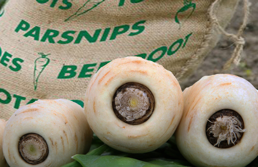 Product Bites: Vegetable Sacks ideal to store root veg – Haxnicks