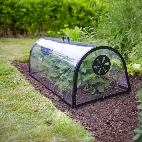 Plant Protection - Nets, Tunnels & Cloches | Haxnicks