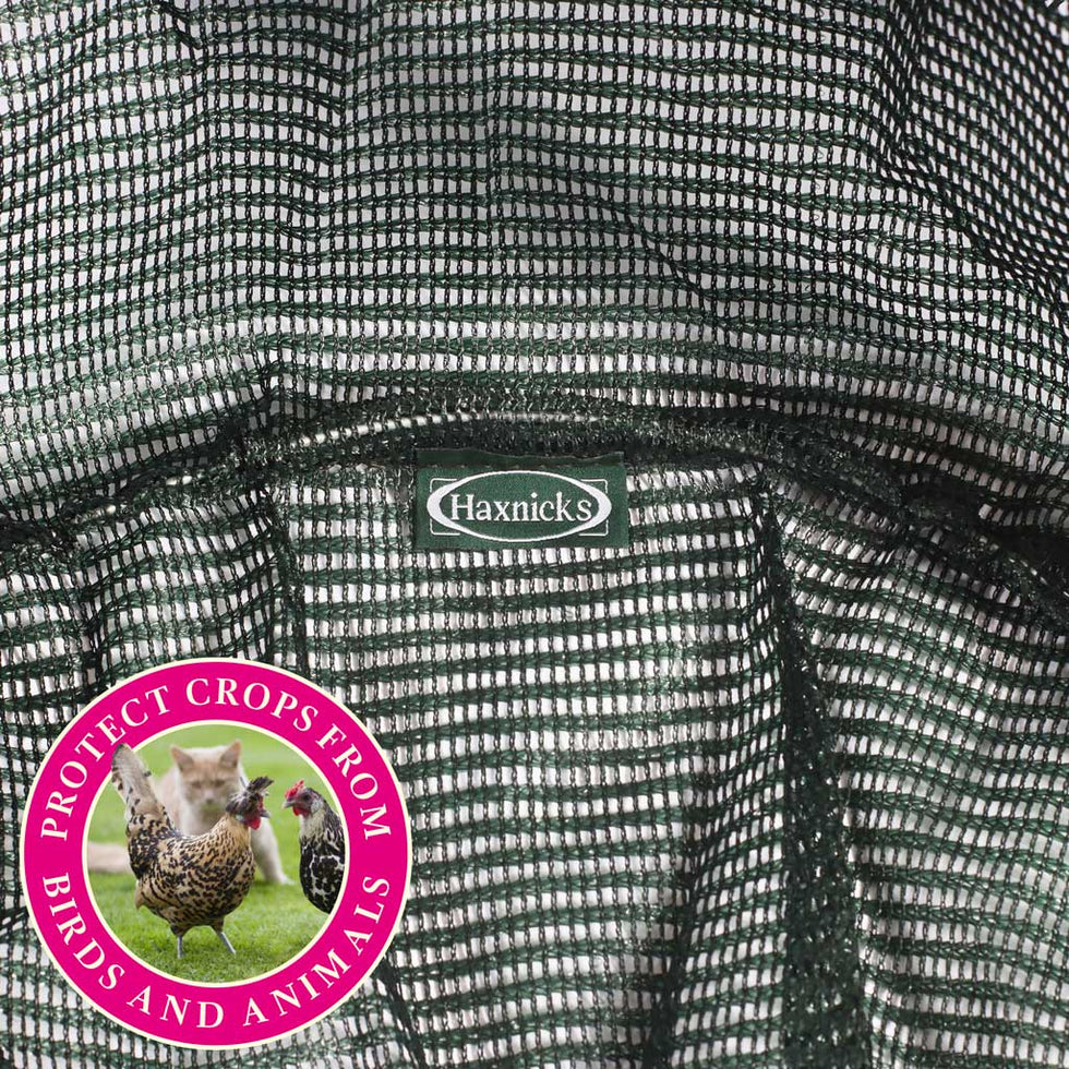 Easy Net Tunnels | Plant Protection | Haxnicks