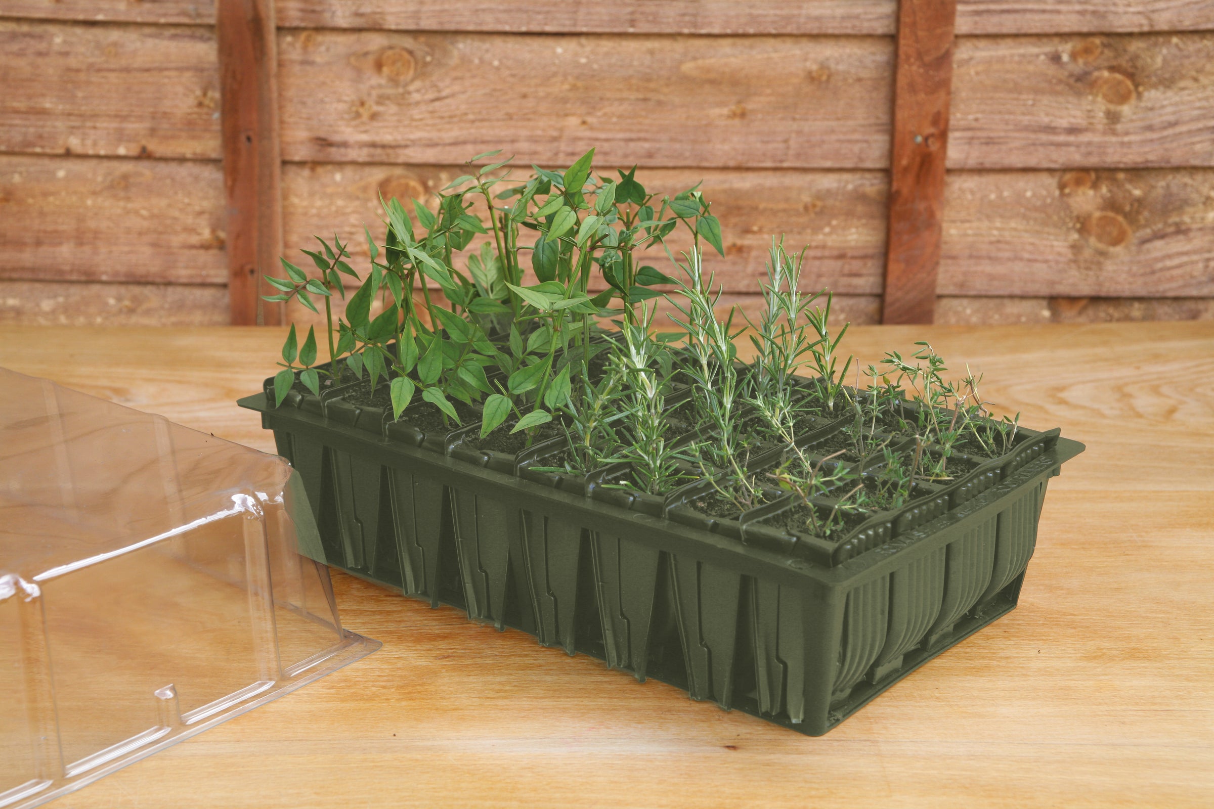 Rapid Rootrainers | Propagation | Haxnicks