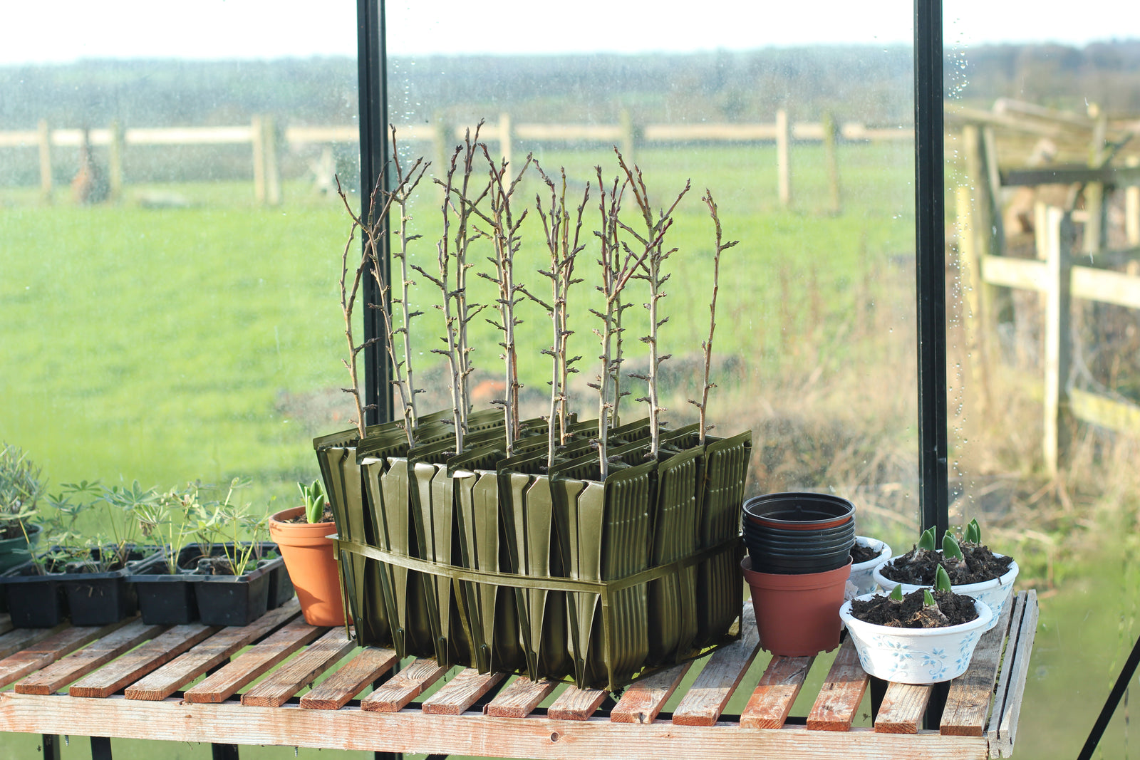 Haxnicks - Practical & Environmentally Friendly Garden Products