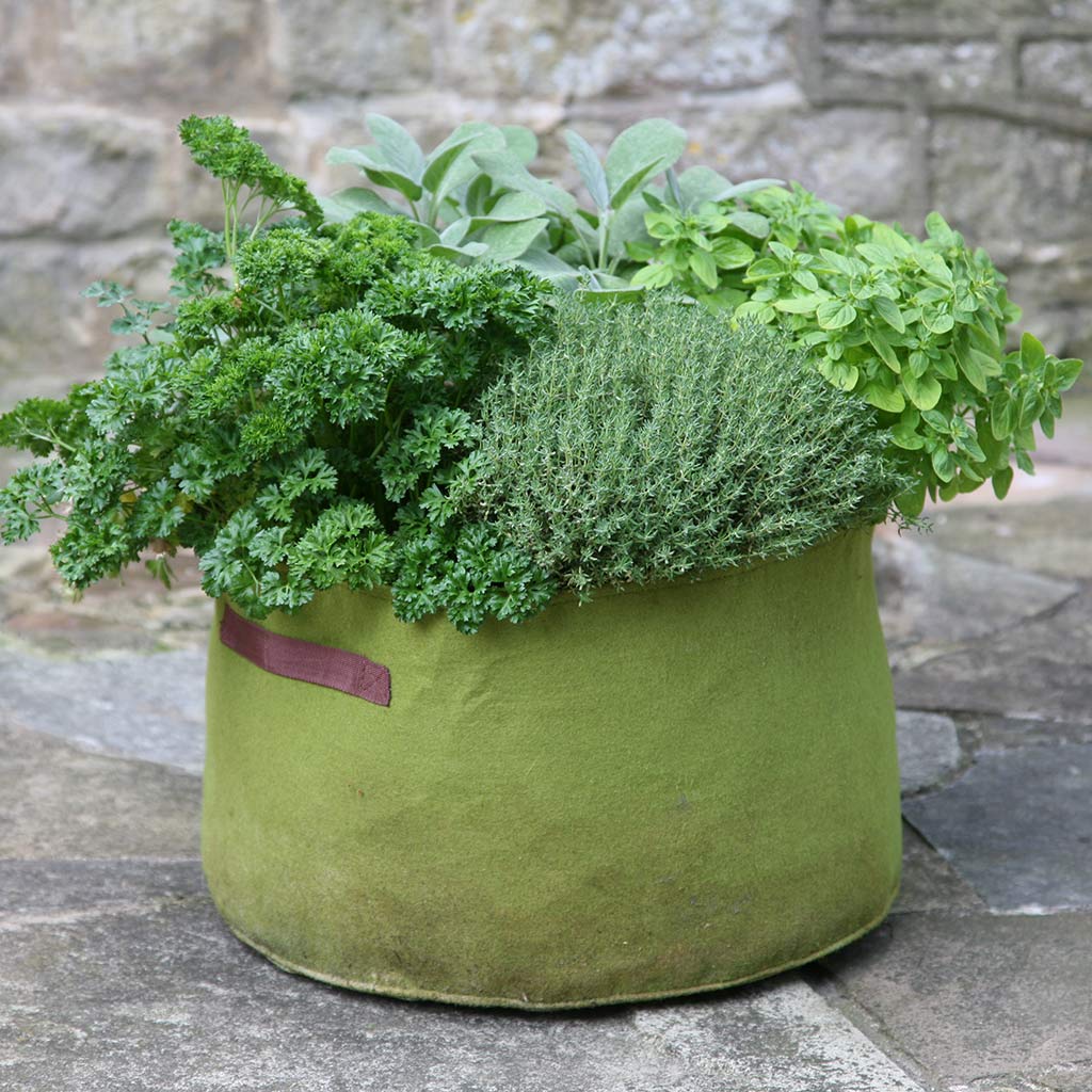Vigoroot Herb Planter | Pots & Planters | Haxnicks