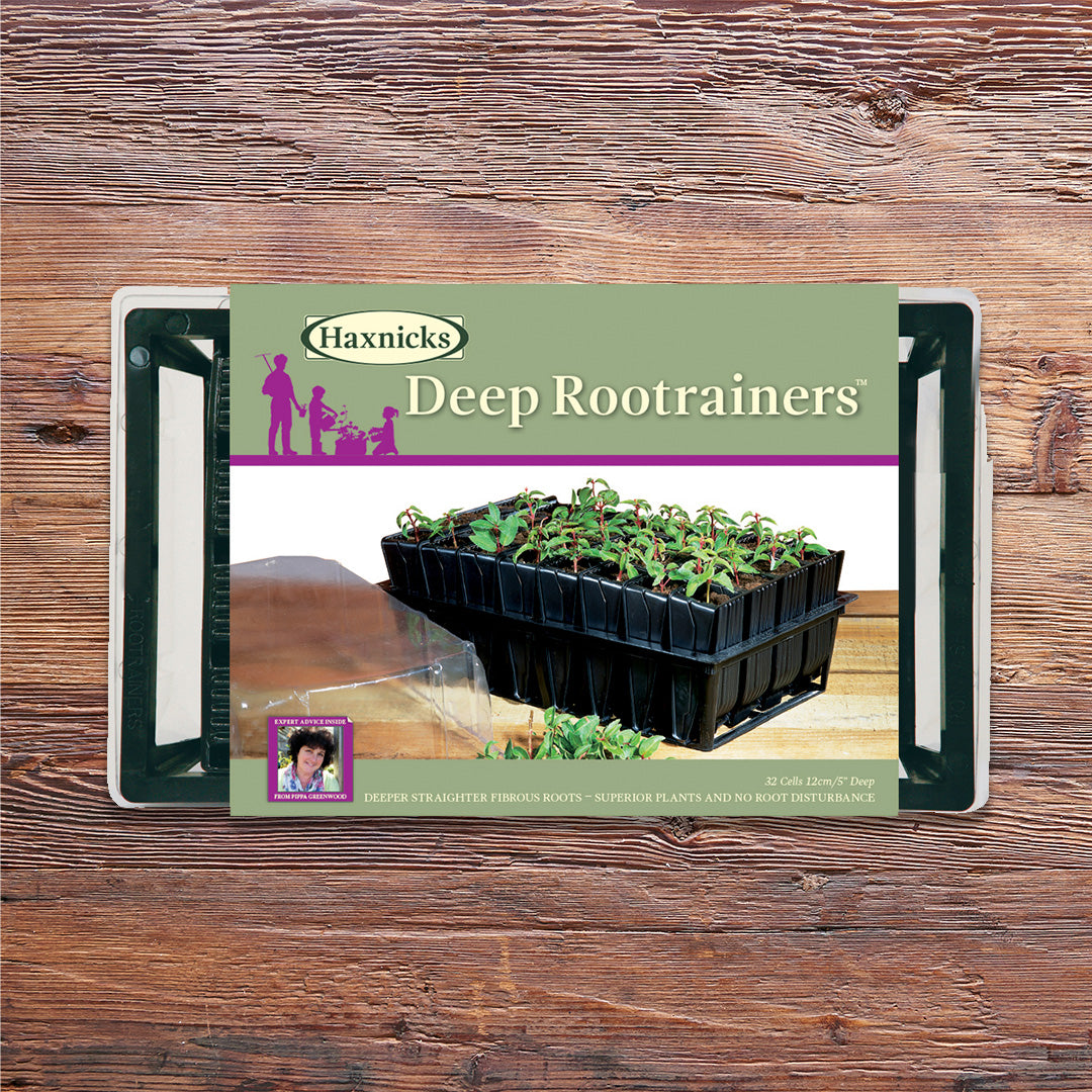 Deep Rootrainers | Propagation | Haxnicks
