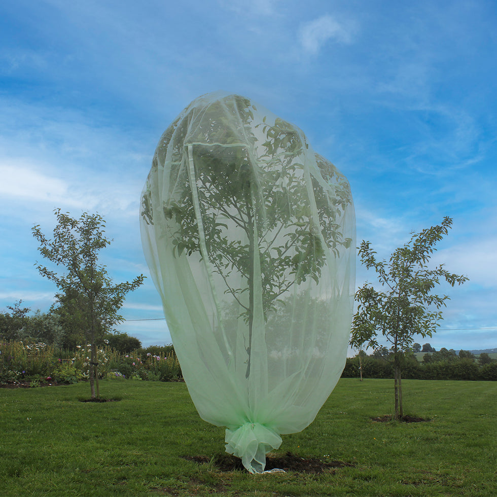 Fruit Tree Protectors | Plant Protection | Haxnicks
