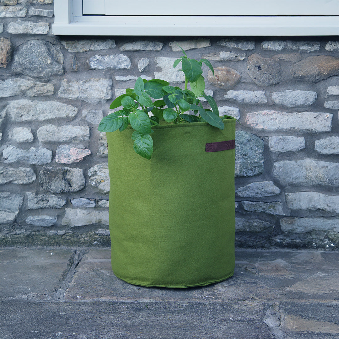 Vigoroot Planter | Potato Planter | Tomato Planter | Haxnicks