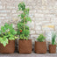 Hemp Pots | Eco Friendly Plant Pots| Haxnicks