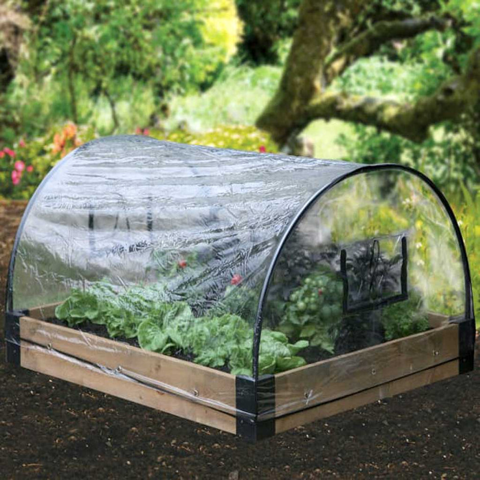 Plant Protection - Nets, Tunnels & Cloches | Haxnicks