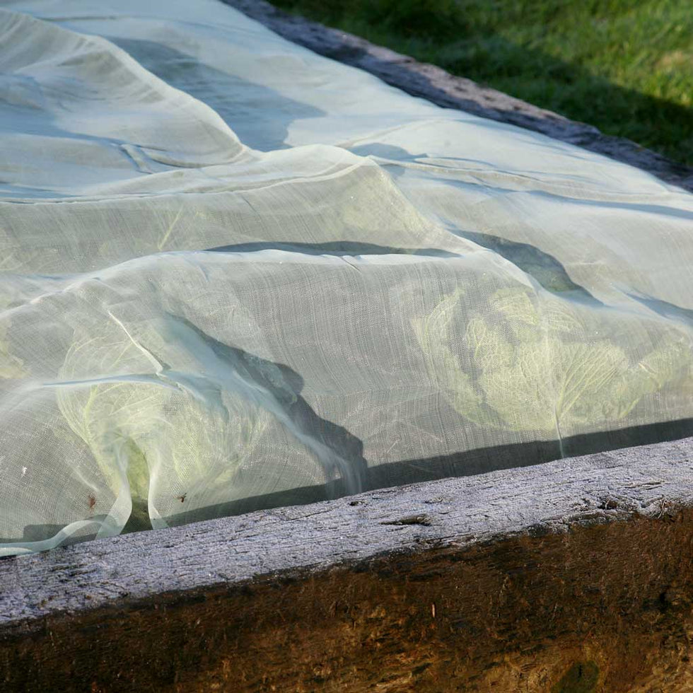 Plant Protection - Nets, Tunnels & Cloches | Haxnicks