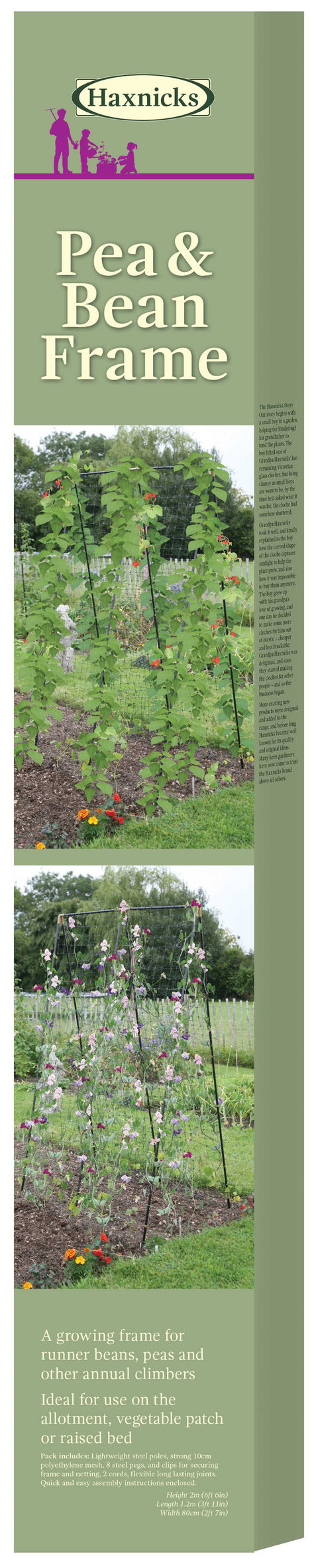 Steel Pea and Bean Frames | Plant Support | Haxnicks