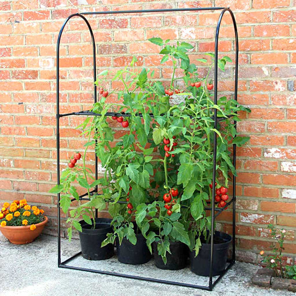 Plant Frames | Haxnicks