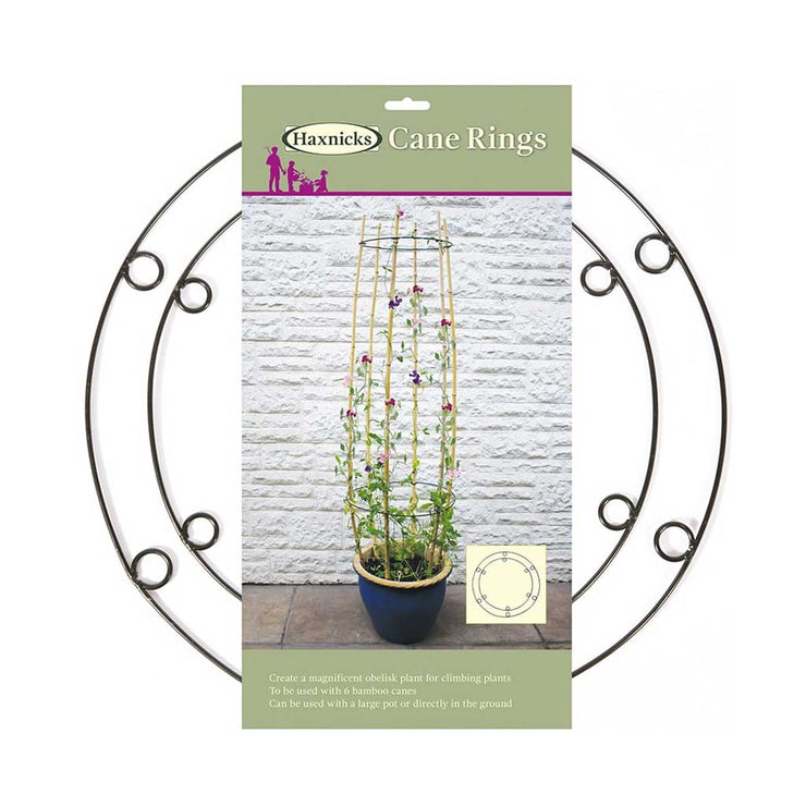 Cane Rings - Pack of 2 | Plant Support | Haxnicks